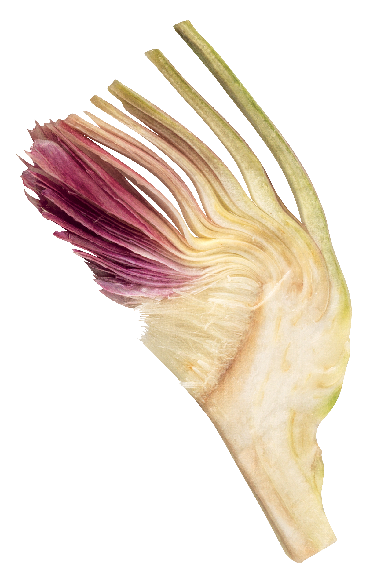 Gran Risotto - Riso Flora